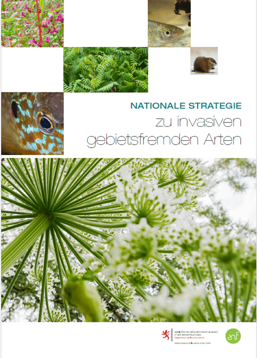 Launch of the national strategy on invasive alien species – neobiota.lu